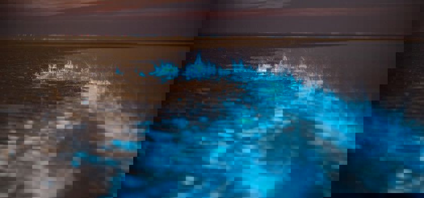 Welkom bij Zeevonk, ons nieuwe windpark | Vattenfall Nederland